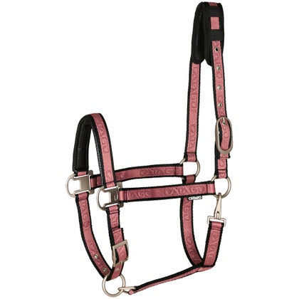 Flat Web & Nylon Halters - Riding Warehouse