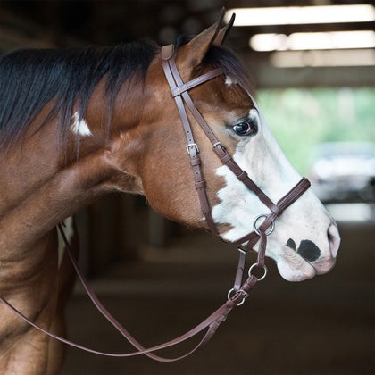 Sidepull, Bitless, & Hackamore Bridles - Riding Warehouse