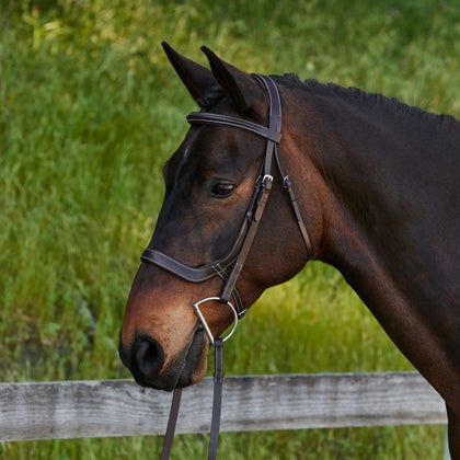 Best English Bridles