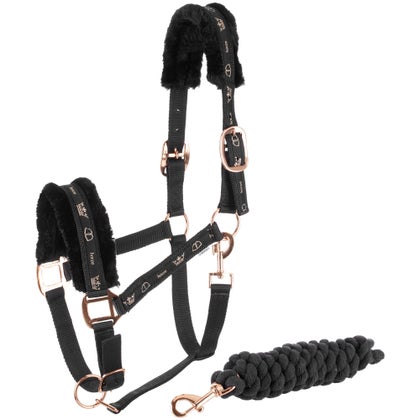 Flat Web & Nylon Halters - Riding Warehouse