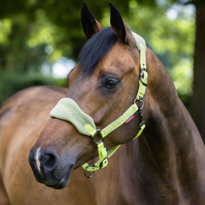 LeMieux Horse Halters - Riding Warehouse