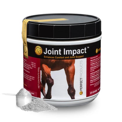 Joint Supplements for Horses - Riding Warehouse