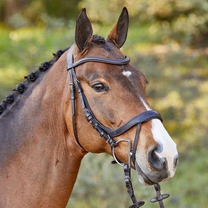 English Dressage Bridles - Riding Warehouse