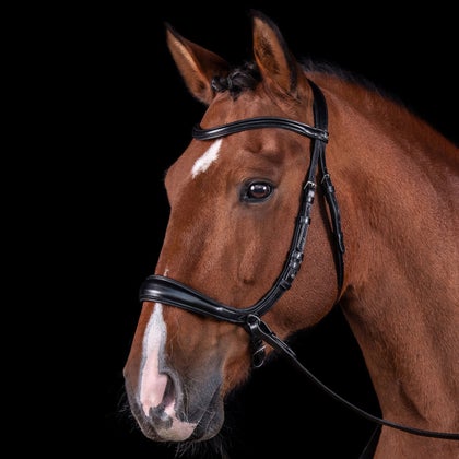 English Bridles & Accessories - Riding Warehouse