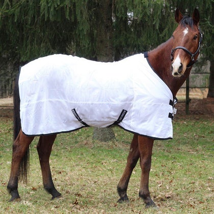 Horse Fly Sheets - Riding Warehouse