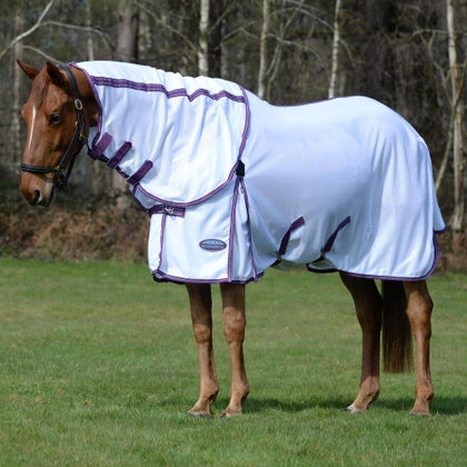 Best Horse Fly Sheets of 2023