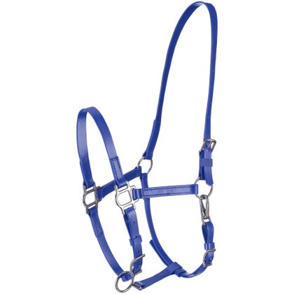Zilco Marathon Padded Halter Bridle Combo | Riding Warehouse