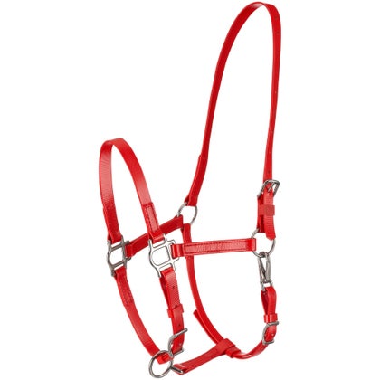 Zilco Marathon Padded Halter Bridle Combo | Riding Warehouse