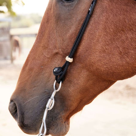 Ear Split Western Bridle Parts