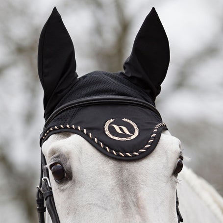 Those Cheap Champagne Nights Ear Stretching Size Chart