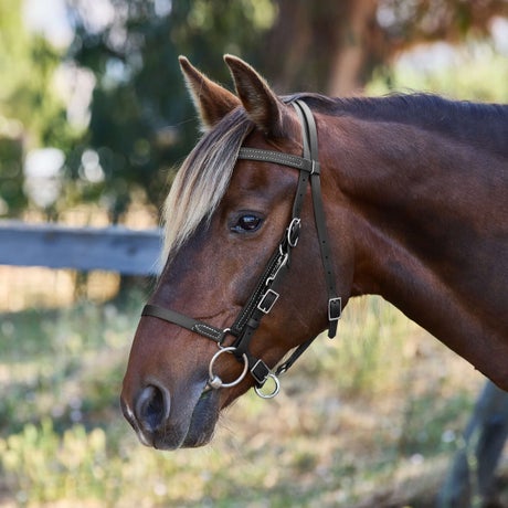 Halter Bridle Combinations - Riding Warehouse