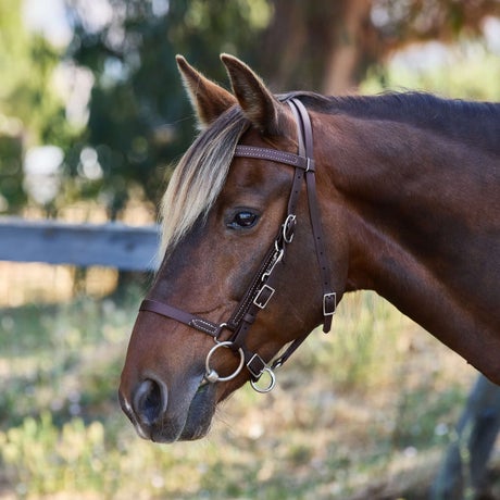 Halter Bridle Combinations - Riding Warehouse