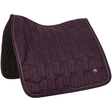 New Picks for You - Riding Warehouse