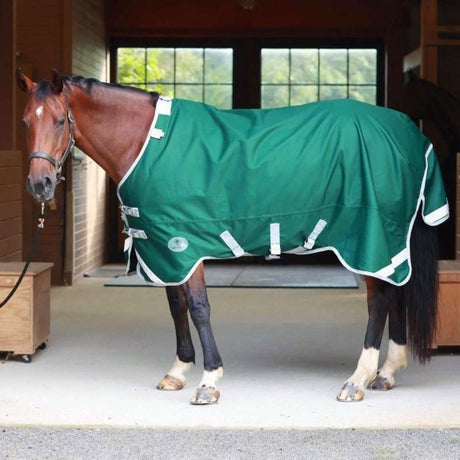 Horse Turnout Blankets & Sheets - Riding Warehouse