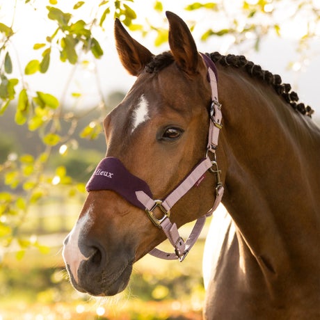 LeMieux Horse Halters - Riding Warehouse