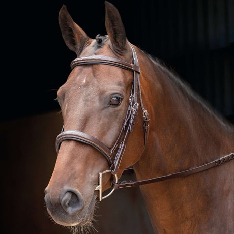 English Bridles & Reins - Riding Warehouse