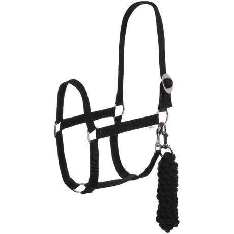 Breakaway Halters for Horses - Riding Warehouse