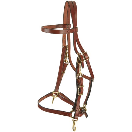 Halter Bridle Combinations - Riding Warehouse