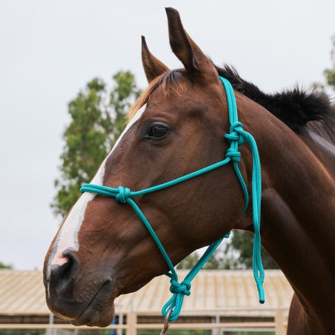RJ Yacht Rope 12ft. Lead Line | Riding Warehouse