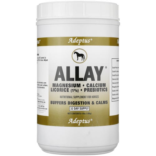 Gastric & Digestive Horse Supplements - Riding Warehouse