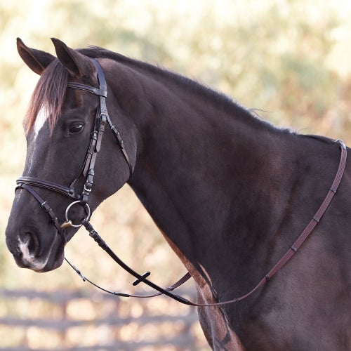 English Bridles & Accessories - Riding Warehouse