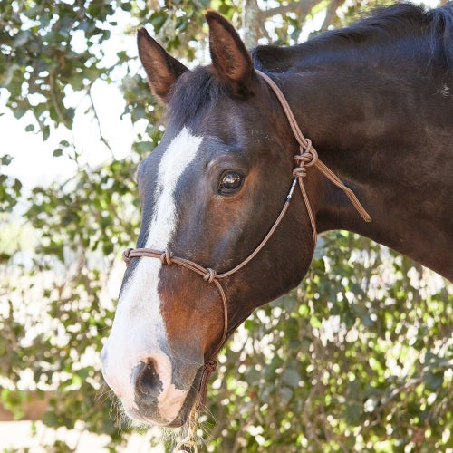 Rope Halters - Riding Warehouse