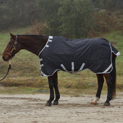 Horse Turnout Blankets & Sheets - Riding Warehouse