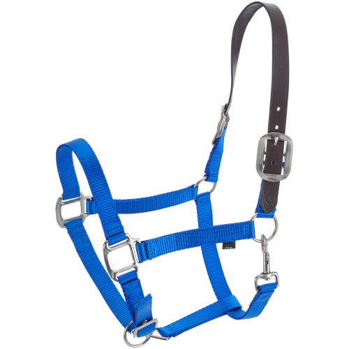 Breakaway Halters for Horses - Riding Warehouse