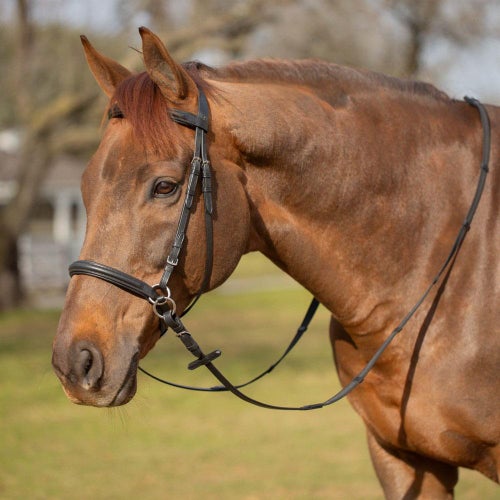 Sidepull, Bitless, & Hackamore Bridles - Riding Warehouse