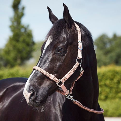 Horse Halters & Lead Ropes - Riding Warehouse