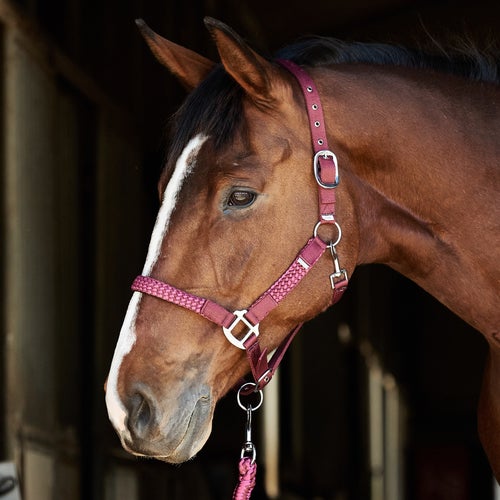 Horse Halters & Lead Ropes - Riding Warehouse