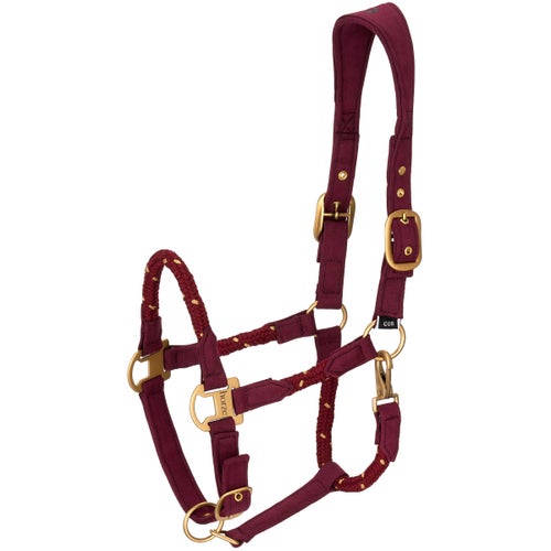 Flat Web & Nylon Halters - Riding Warehouse