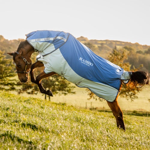 Horse Turnout Blankets & Sheets - Riding Warehouse