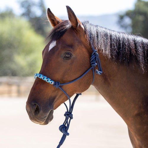 Rope Halters - Riding Warehouse