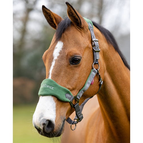 LeMieux Horse Halters & Lead Ropes - Riding Warehouse
