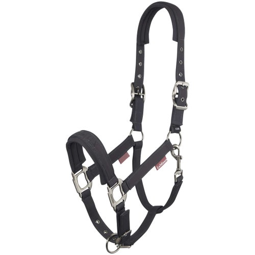 Flat Web & Nylon Halters - Riding Warehouse