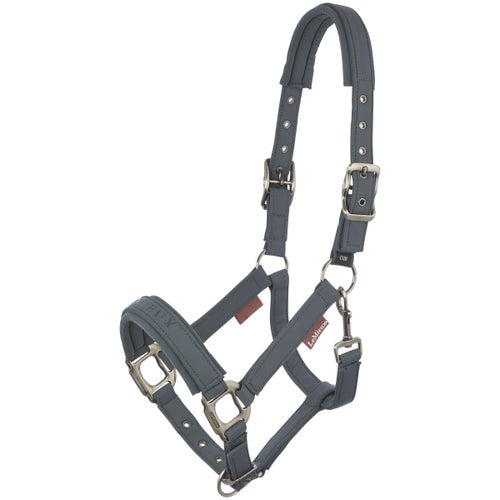 Flat Web & Nylon Halters - Riding Warehouse