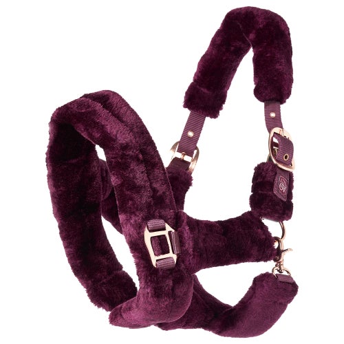 Breakaway Halters - Riding Warehouse