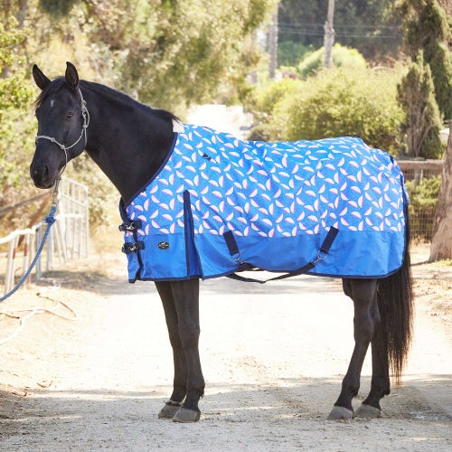 Horse Turnout Blankets & Sheets - Riding Warehouse