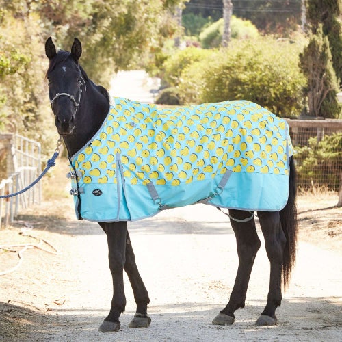 Horse Turnout Blankets & Sheets - Riding Warehouse