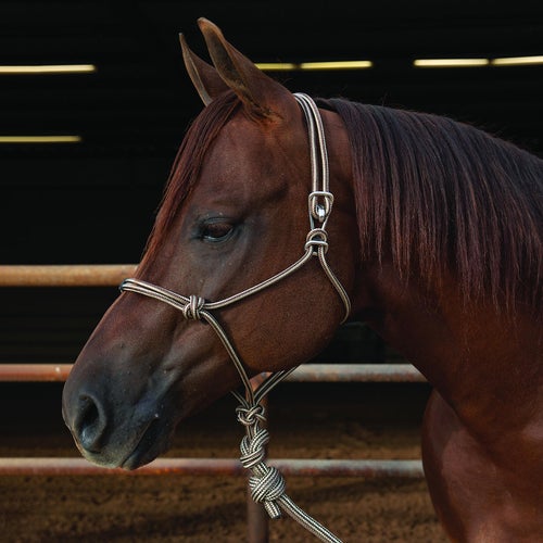 Rope Halters - Riding Warehouse