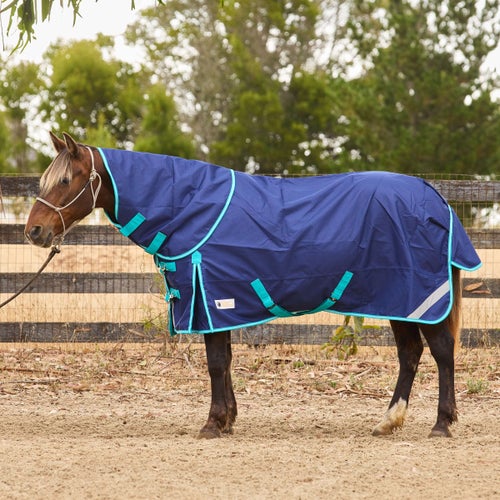 Horse Turnout Blankets & Sheets - Riding Warehouse