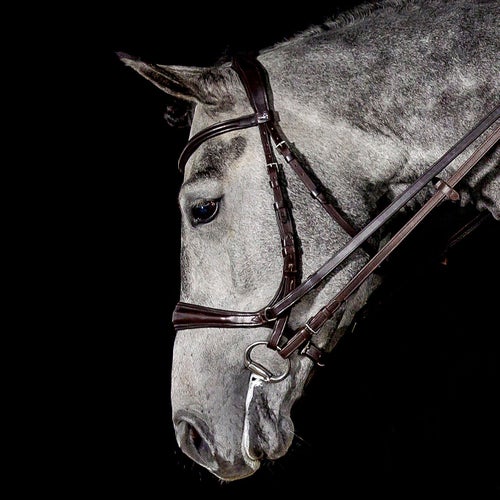Sidepull, Bitless, & Hackamore Bridles - Riding Warehouse
