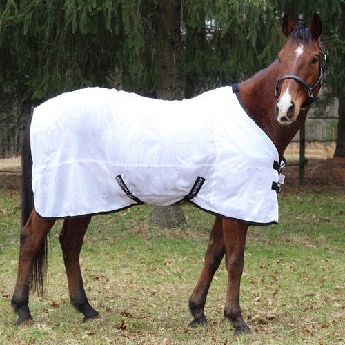 Horse Fly Sheets - Riding Warehouse