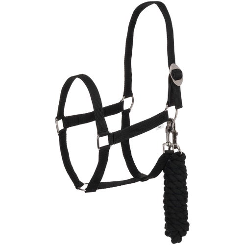 Flat Web & Nylon Halters - Riding Warehouse