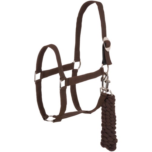 Breakaway Halters for Horses - Riding Warehouse