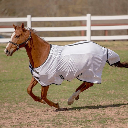 Horse Fly Sheets - Riding Warehouse