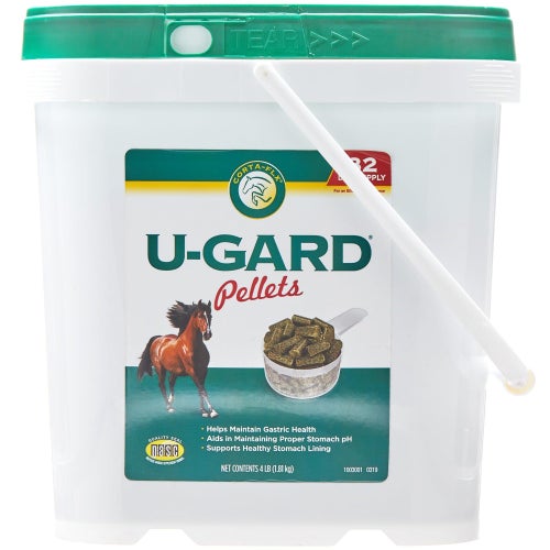 Gastric & Digestive Horse Supplements - Riding Warehouse