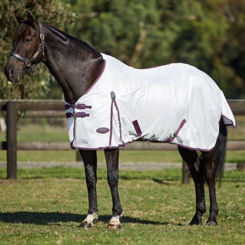 Horse Fly Sheets - Riding Warehouse