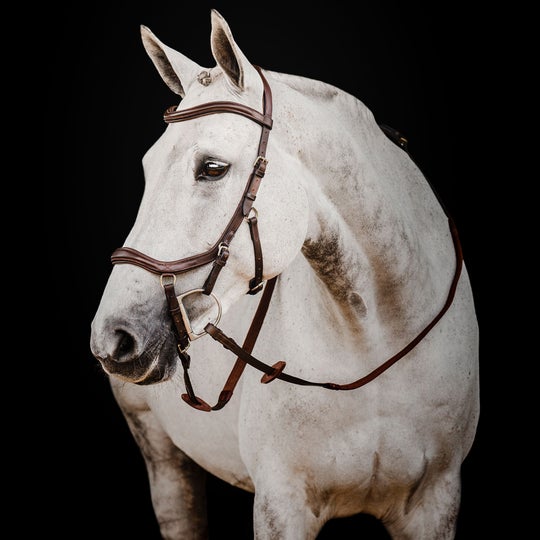 Micklem Bridles Buying Guide
